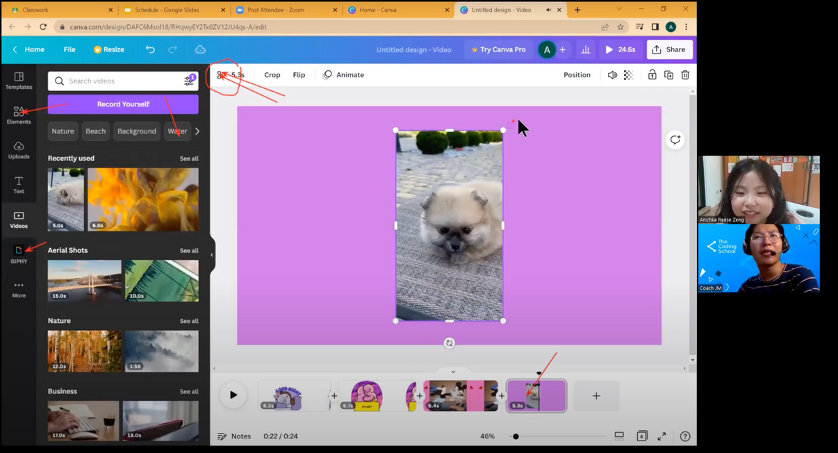 Graphic Design with Canva 1 – The Coding School
