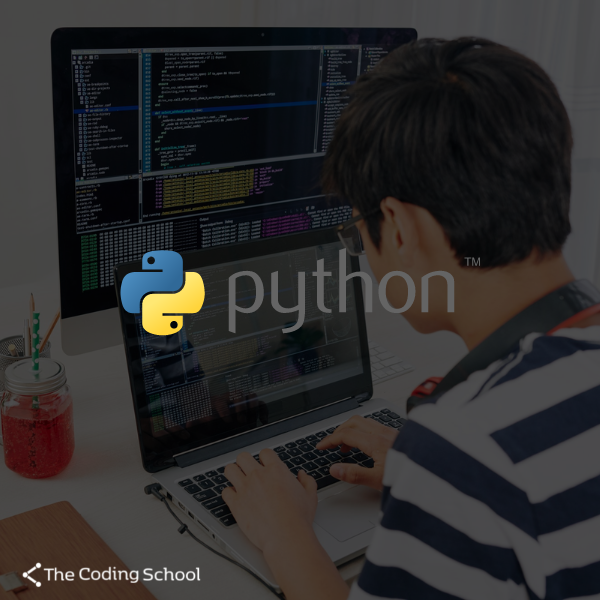 Python for Teens 2 (Private Class) – The Coding School